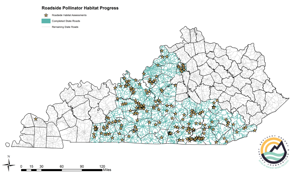 Project: Roadside Native Plants Archives - Kentucky Native Plant Society